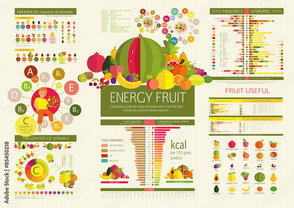 Basics of healthy nutrition. Stock Vector | Adobe Stock