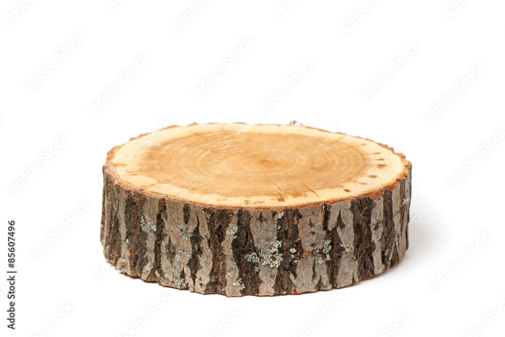 Cross section of tree trunk on white background Stock Photo | Adobe Stock