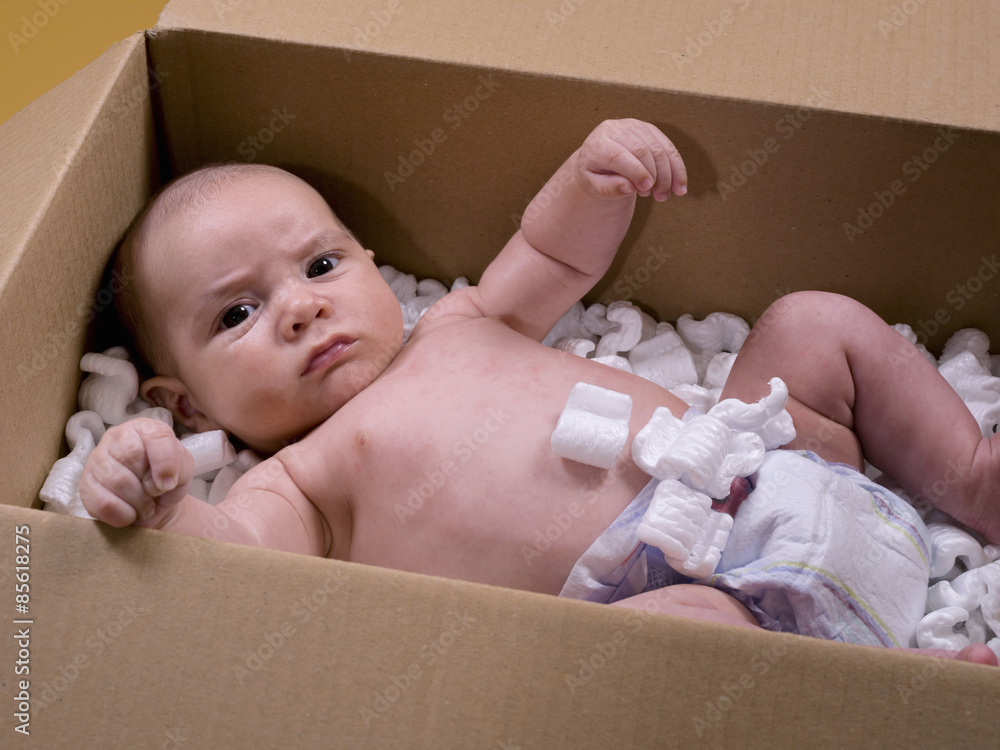 Baby, three months old, inside a cardboard box with polystyrene chips ...
