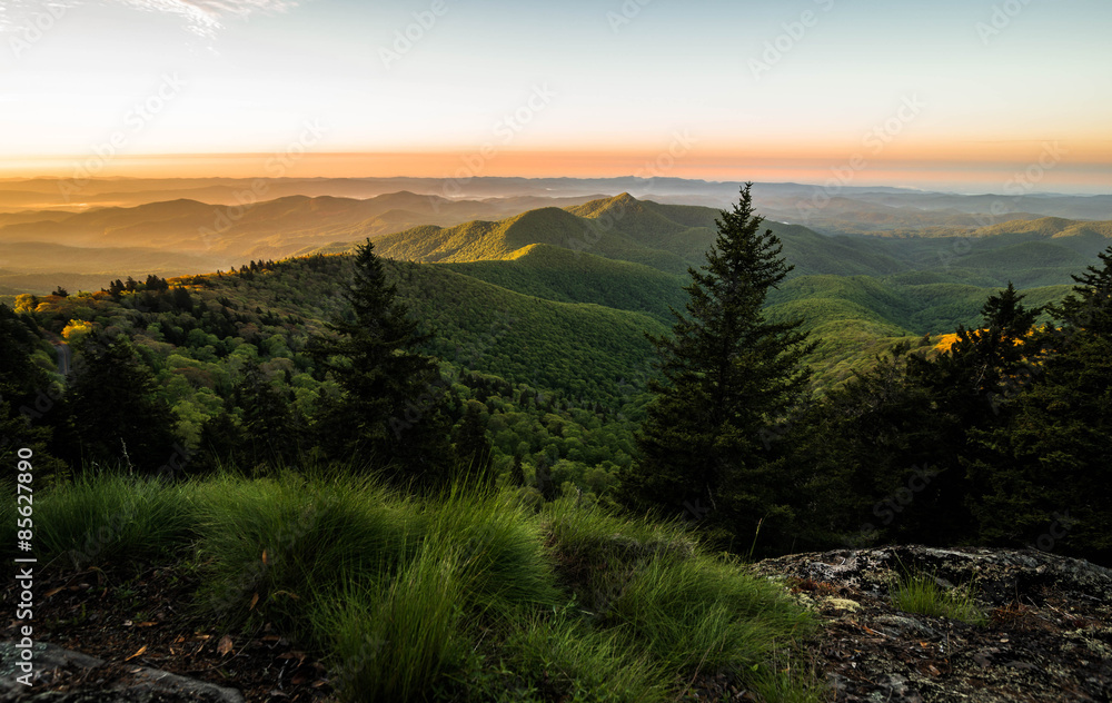 The warm colors of the spring blooms in the Blue Ridge mountains ...