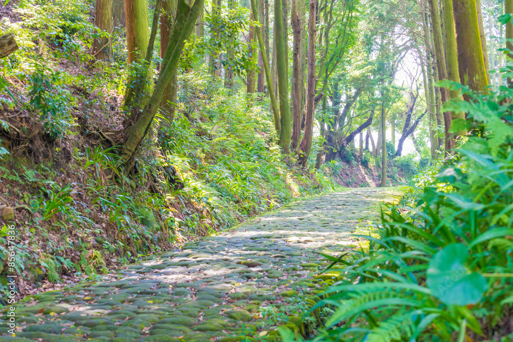 Stone pavement of Japan Stock Photo | Adobe Stock