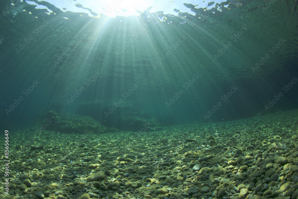 Underwater landscape Stock Photo | Adobe Stock