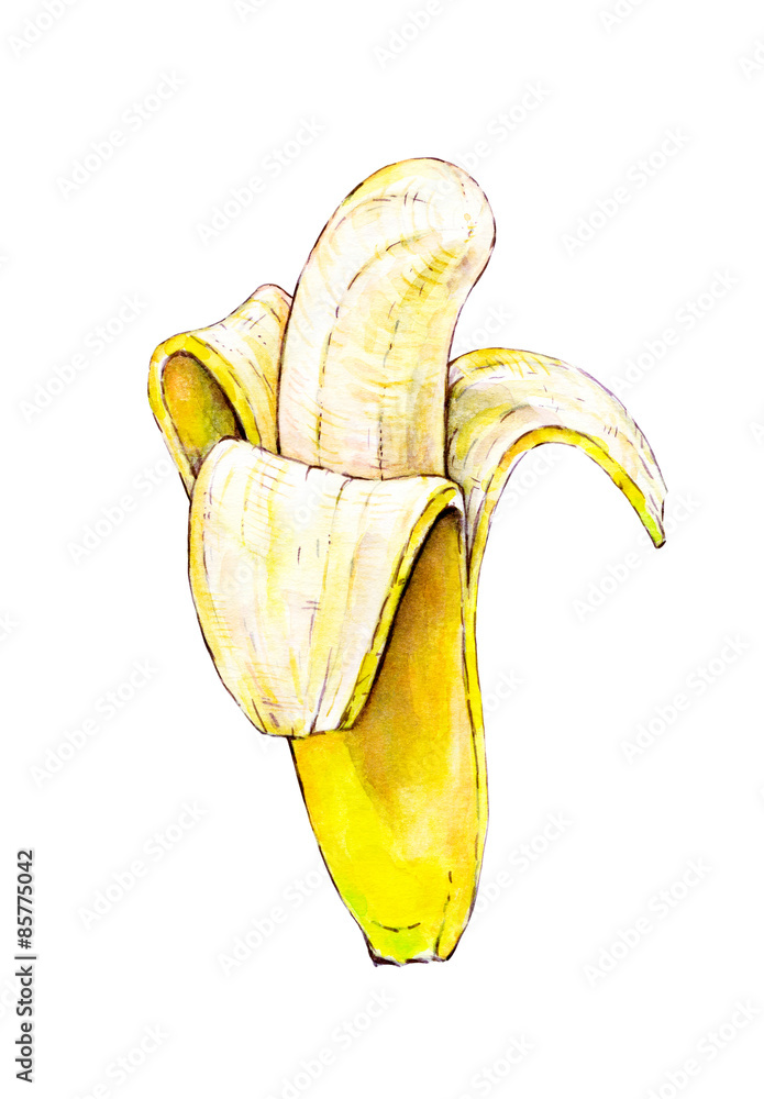 Banana isolated on white background. Watercolor colourful illustration ...