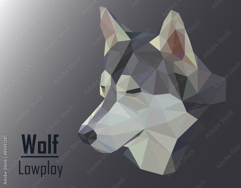 the low poly of siberian husky. low poly of wolf. Stock Vector | Adobe ...