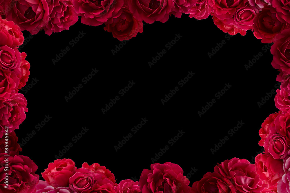 Frame with bush of red rose flowers background isolated on black Stock ...