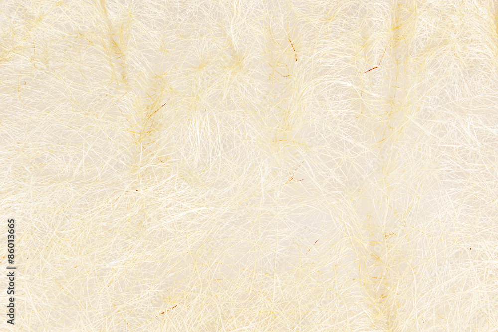 mesh wood texture for bacground Stock Photo | Adobe Stock