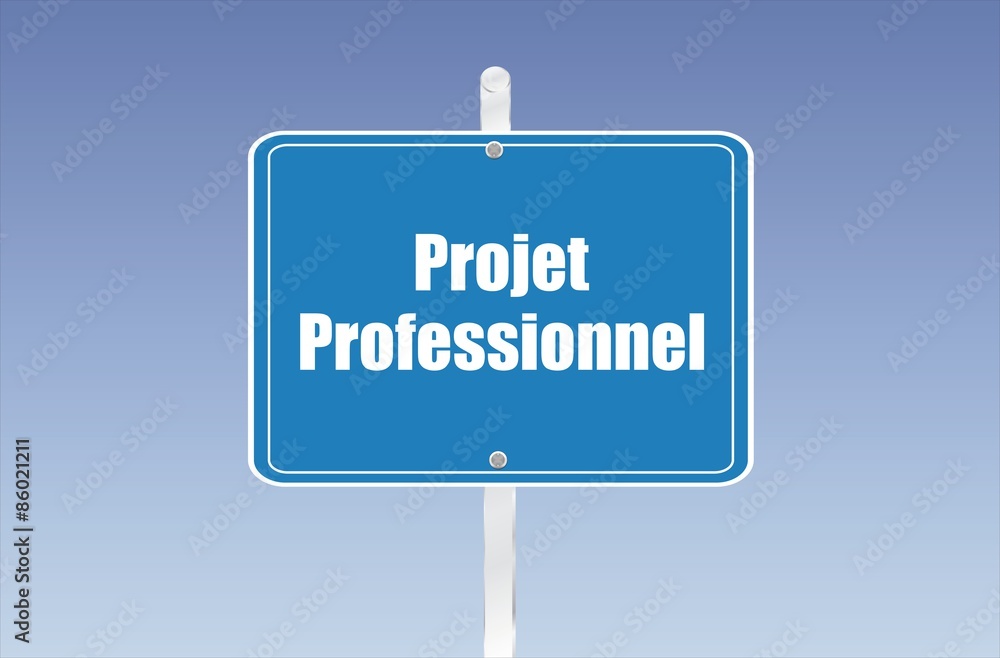 panneau projet professionnel 29062015 Stock Vector | Adobe Stock