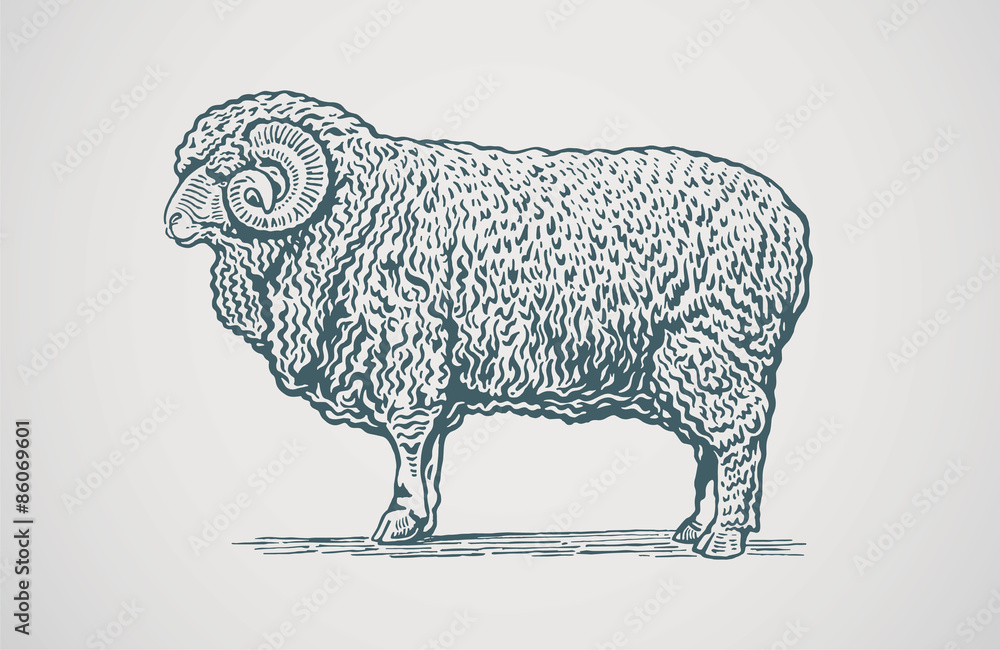 Vector illustration of graphical ram. Stock Vector | Adobe Stock
