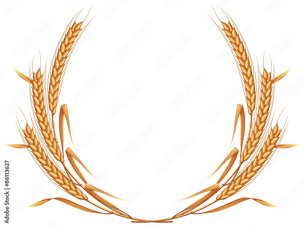Wheat wreath. Photo-realistic EPS10 vector illustration. Stock Vector ...