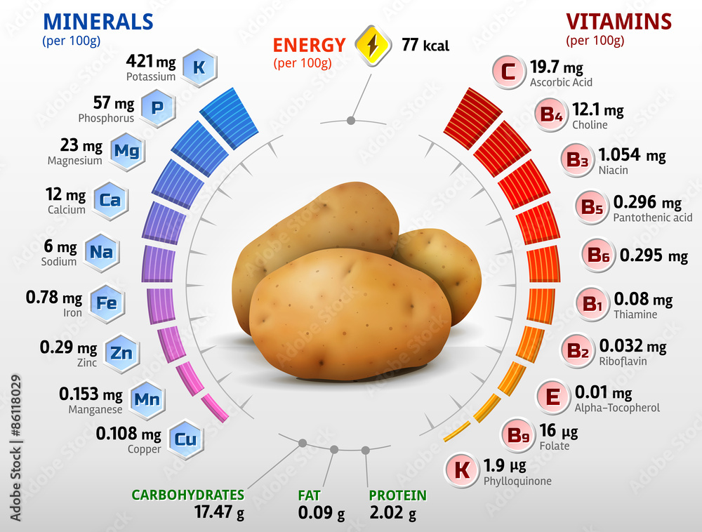 Vitamins and minerals of potato tuber. Nutrition facts of potato Stock ...