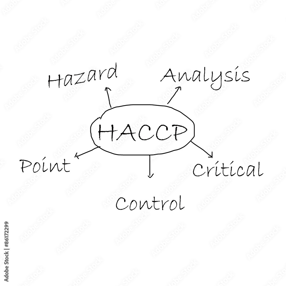 The meaning of HACCP concept (Hazard Analysis of Critical Contro Stock ...