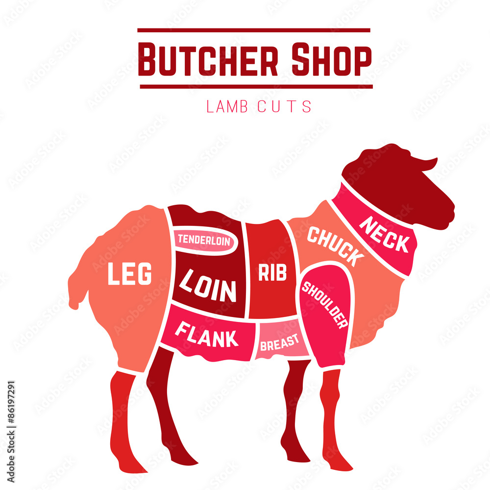 Lamb or mutton cuts diagram. Butcher shop Stock Vector | Adobe Stock