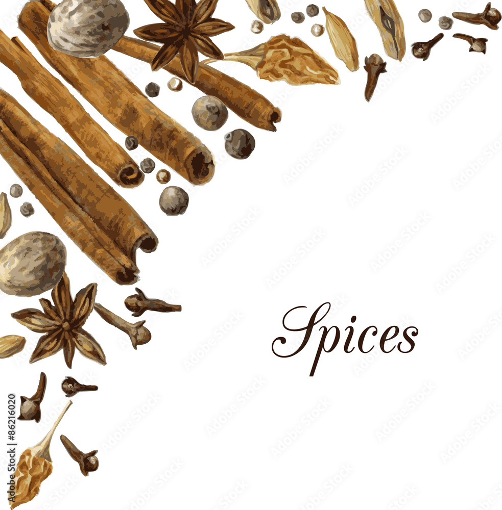 spices drawing by watercolor Stock Vector | Adobe Stock