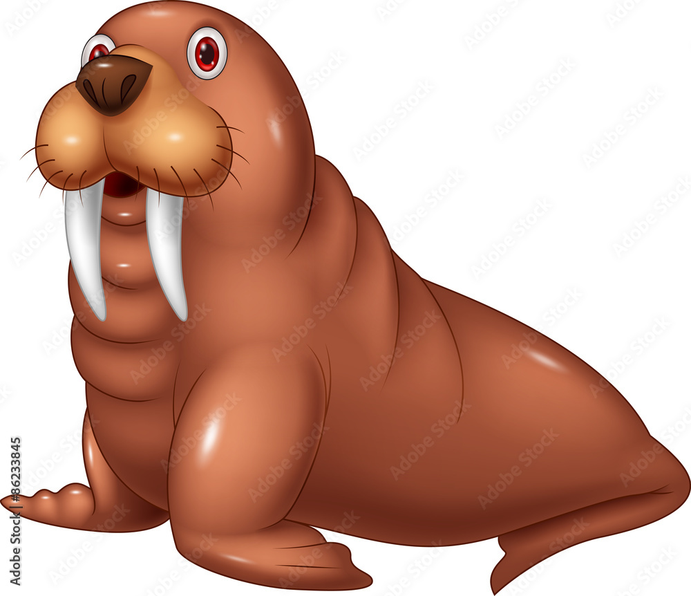 Cartoon cute walrus Stock Vector | Adobe Stock