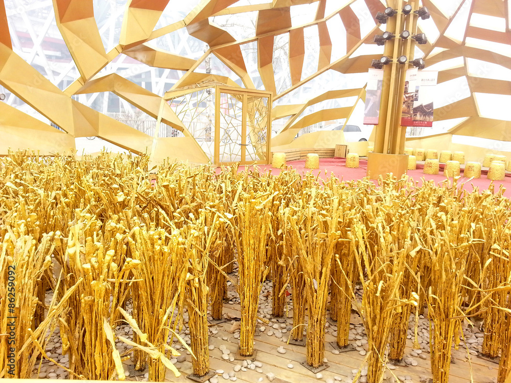 The Golden Rice Field in the dome at National Stadium, Beijing Stock ...