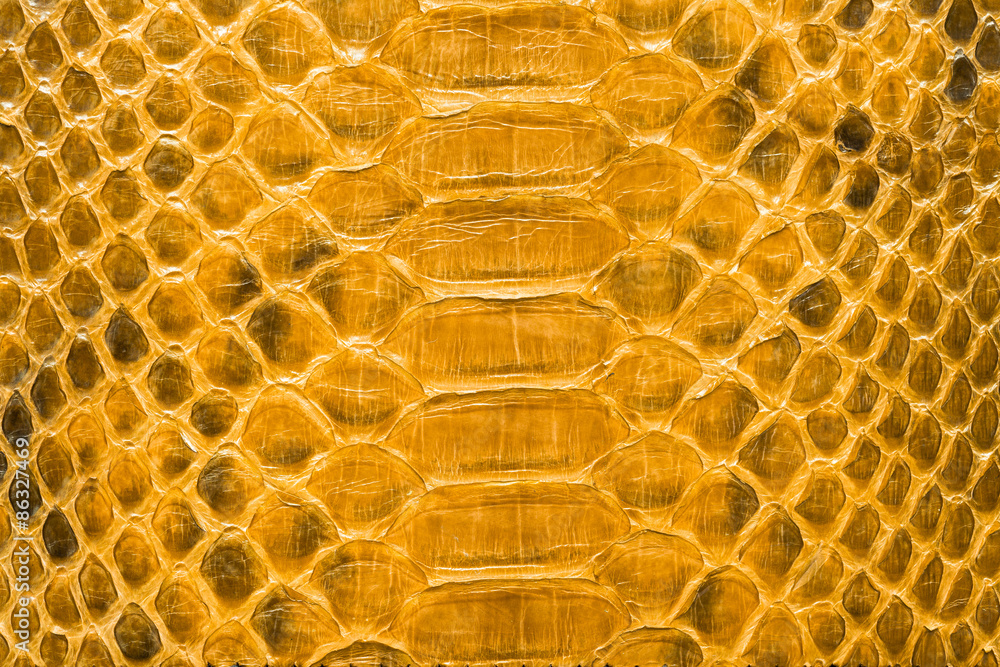 Yellow python leather, skin texture for background. Stock Photo | Adobe ...