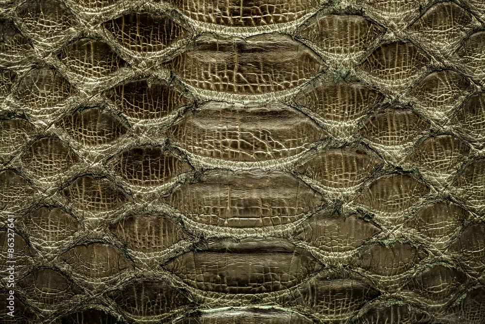 Dark gold python leather, skin texture for background. Stock Photo ...