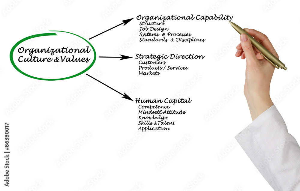 Diagram of Organizational Culture&Values Stock Photo | Adobe Stock