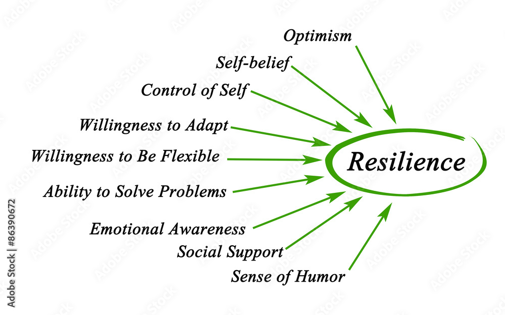 Diagram Of Resilience Stock Photo Adobe Stock Diagram Of Resilience Stock Photo Adobe Stock