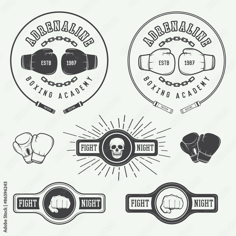 Boxing and martial arts logo badges and labels in vintage style. Vector ...