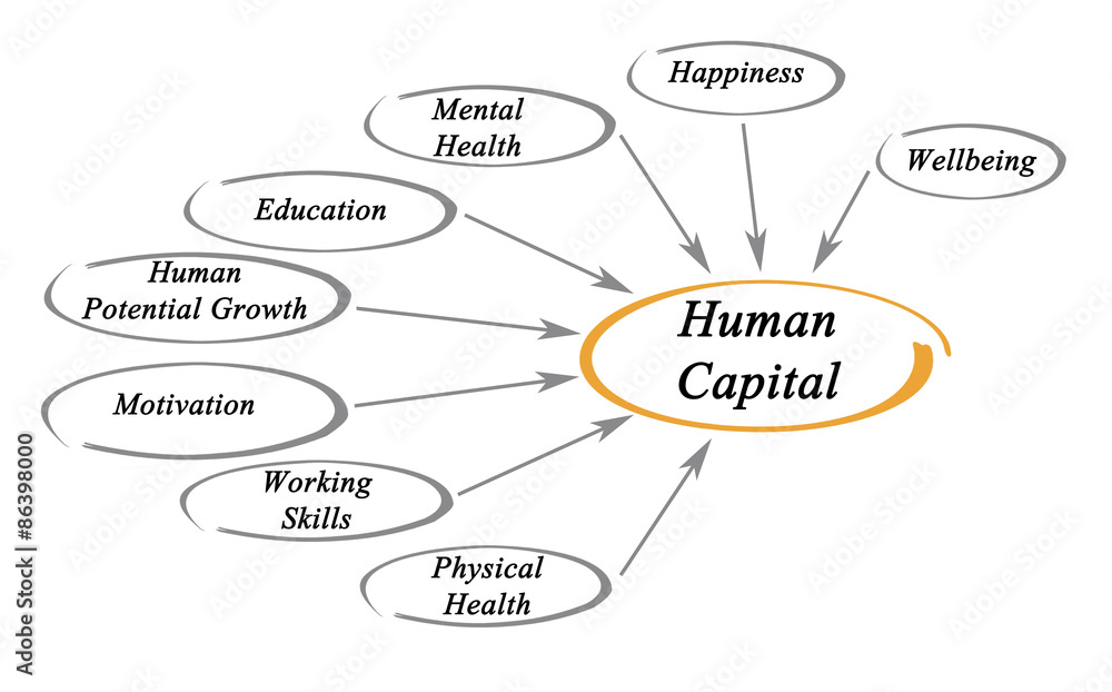 Diagram of Human Capital Stock Illustration | Adobe Stock