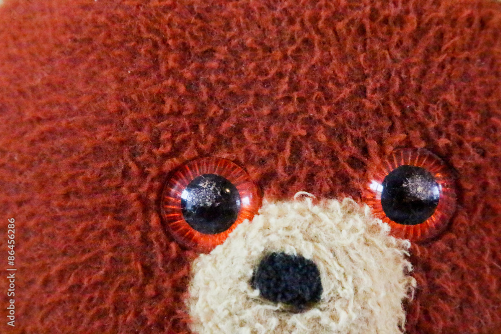 Close up of the eyes and nose of a vintage teddy bear, peering with ...