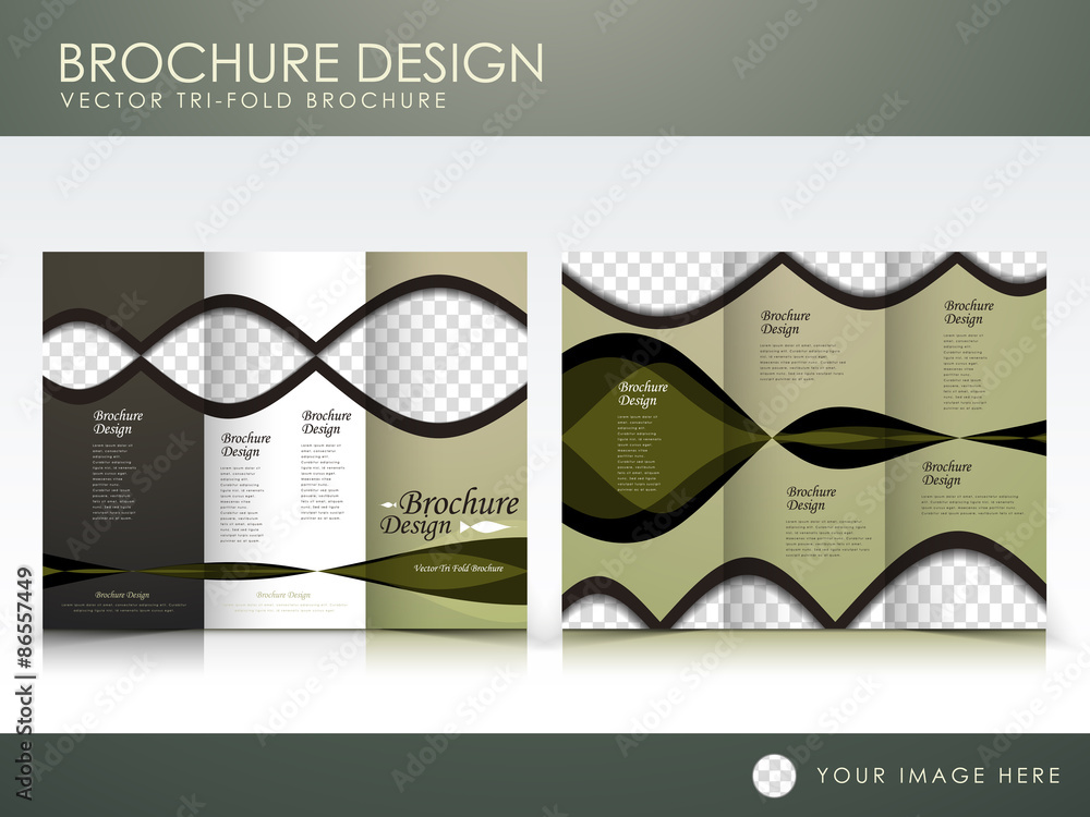 vector brochure layout design template Stock Vector | Adobe Stock