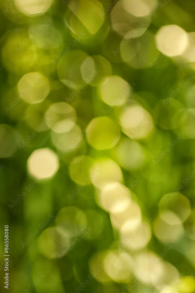 Sfondo verde scuro . Bokeh di luce solare che penetra tra le foglie ...