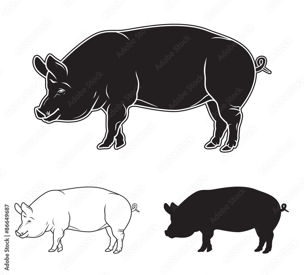 Hand drawn pig set. Vector illustration เวกเตอร์สต็อก | Adobe Stock