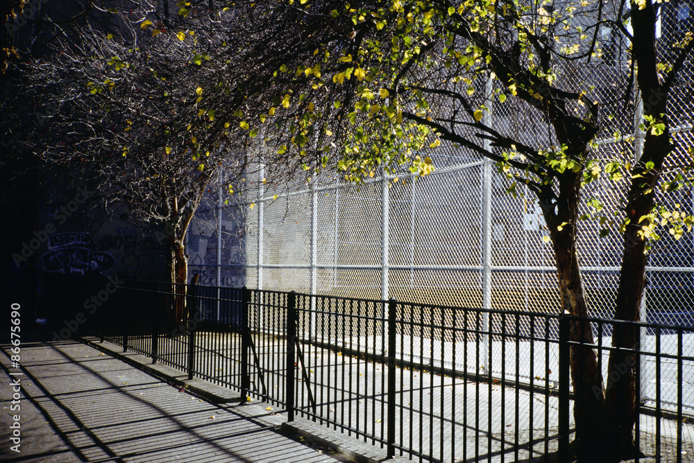 NYC pocket-park fences Stock Photo | Adobe Stock