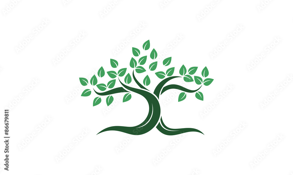 Green Shade Tree Vector Illustration Stock Vector | Adobe Stock