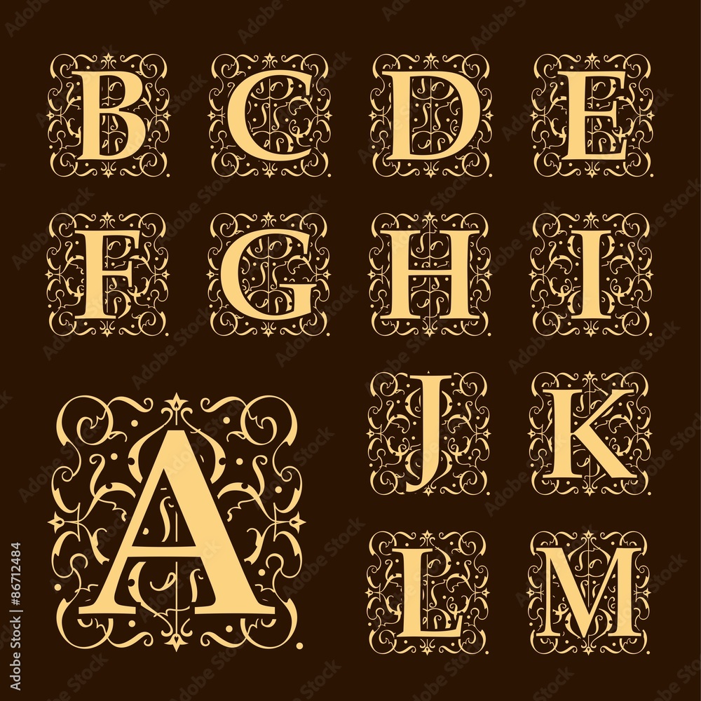 Vintage set capital letters, Monograms and beautiful font. Stock Vector ...