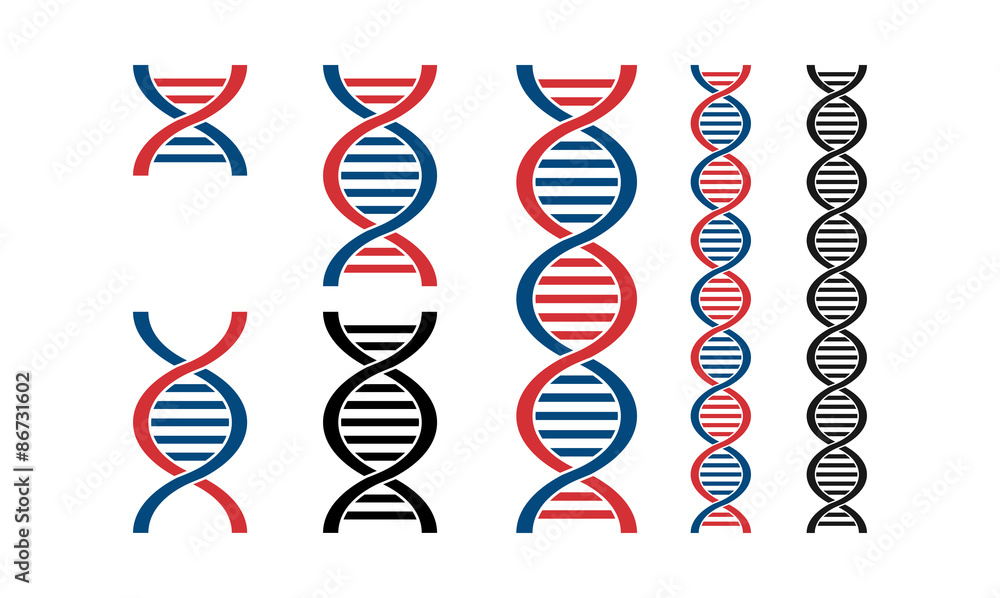 Helix DNA Vector Illustration Bundle Stock Vector | Adobe Stock