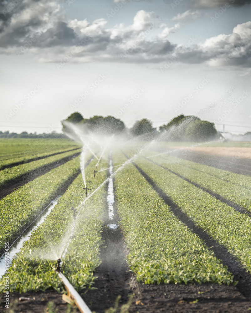 watering crops Stock Photo | Adobe Stock