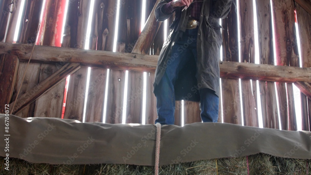 Cowboy plays old fiddle in barn rafters for barn dance Stock Video ...