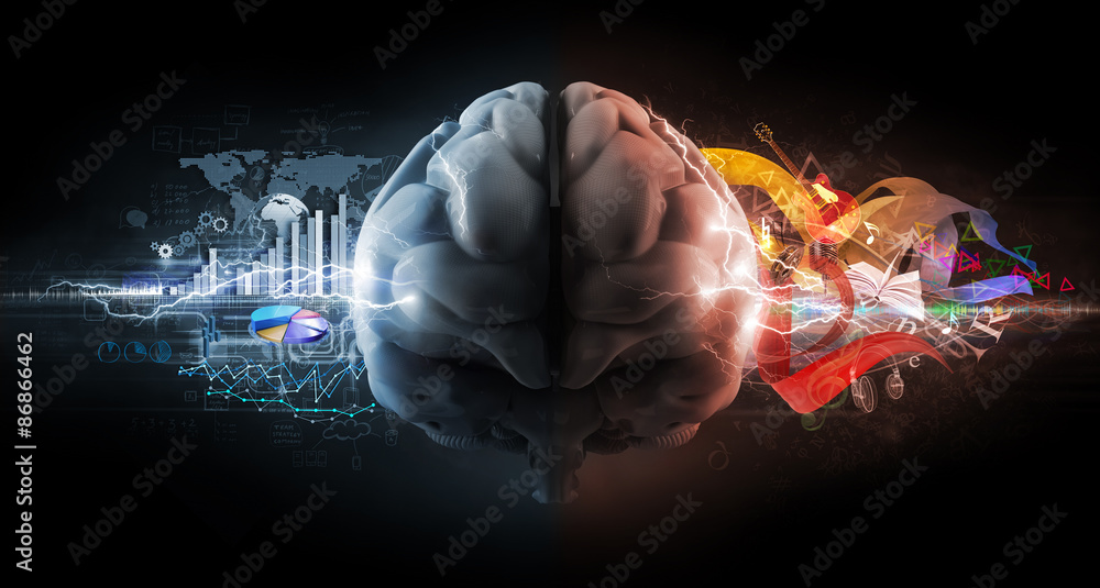 left and right brain functions Stock Illustration | Adobe Stock