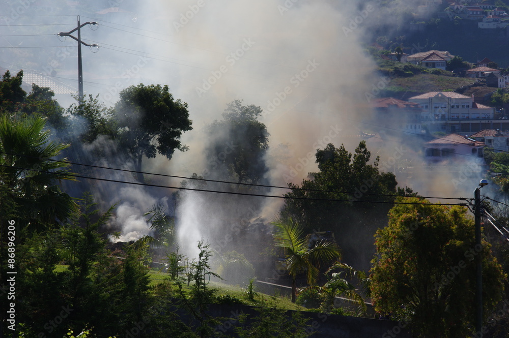 Feuer auf Madeira Stock Photo | Adobe Stock