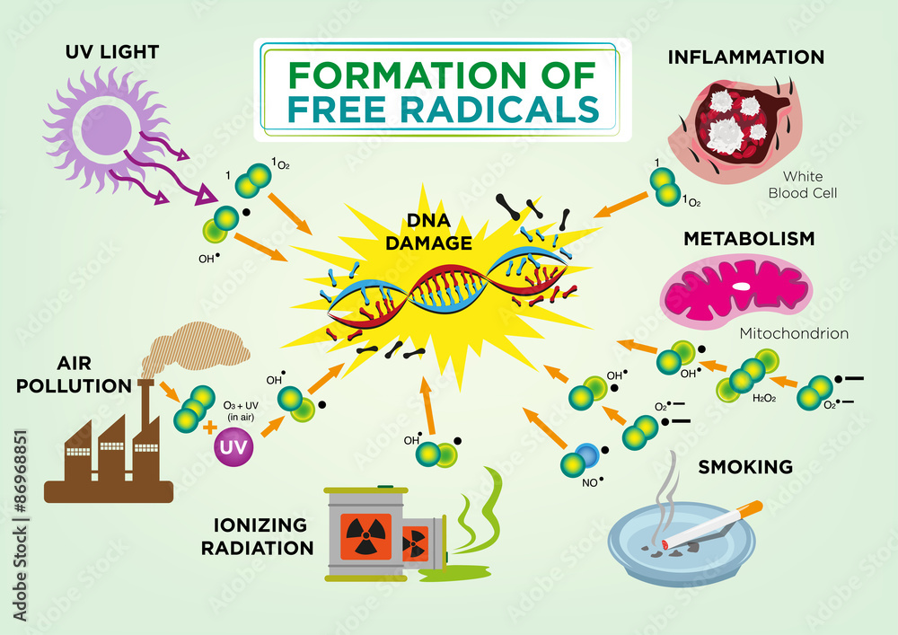 Formation of Free Radicals Diagram concept. Editable Clip Art. Stock ...