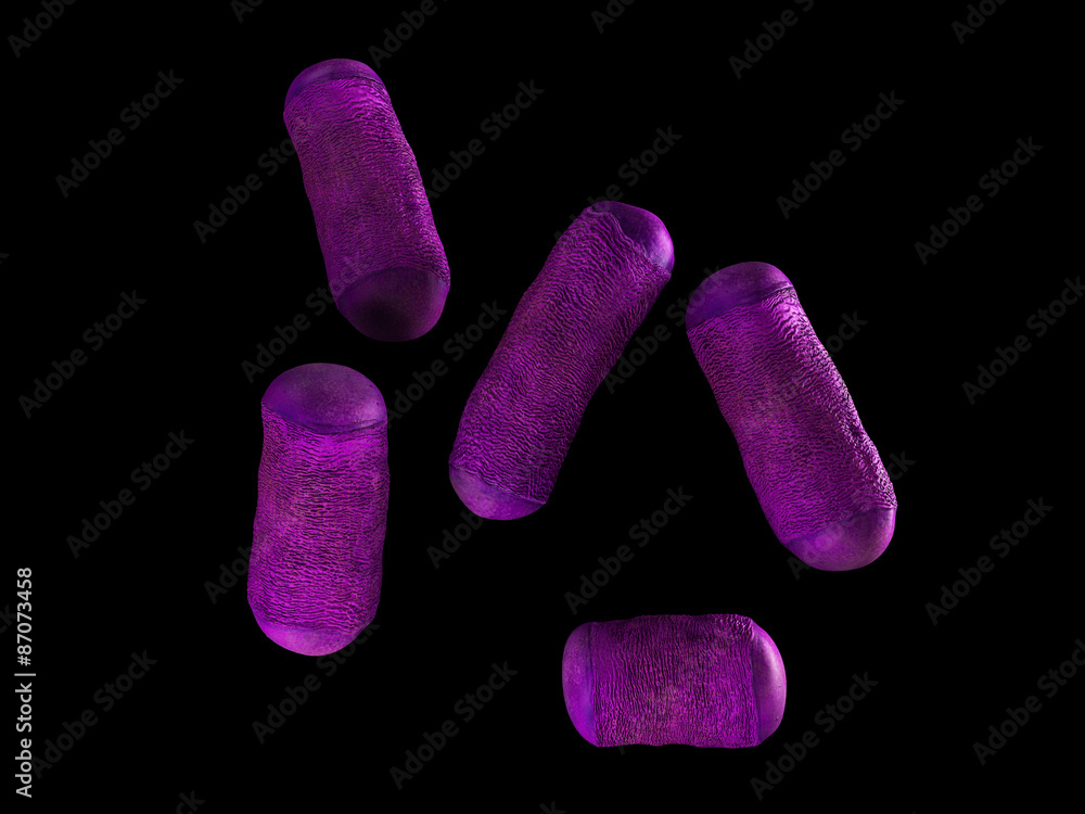 medical bacteria illustration of the lactobacillus Stock Illustration ...