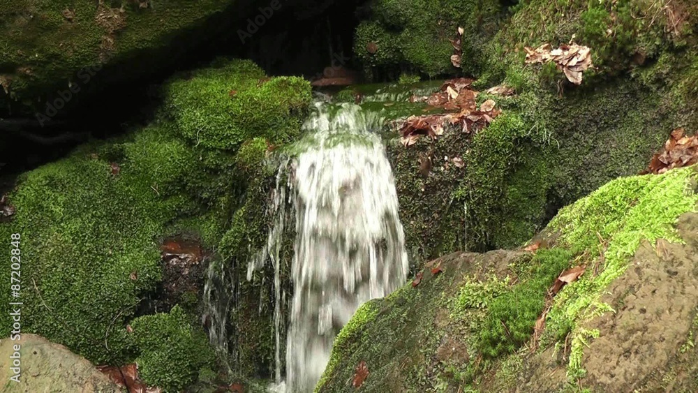 Eine Quelle in den Bergen Stock Video | Adobe Stock