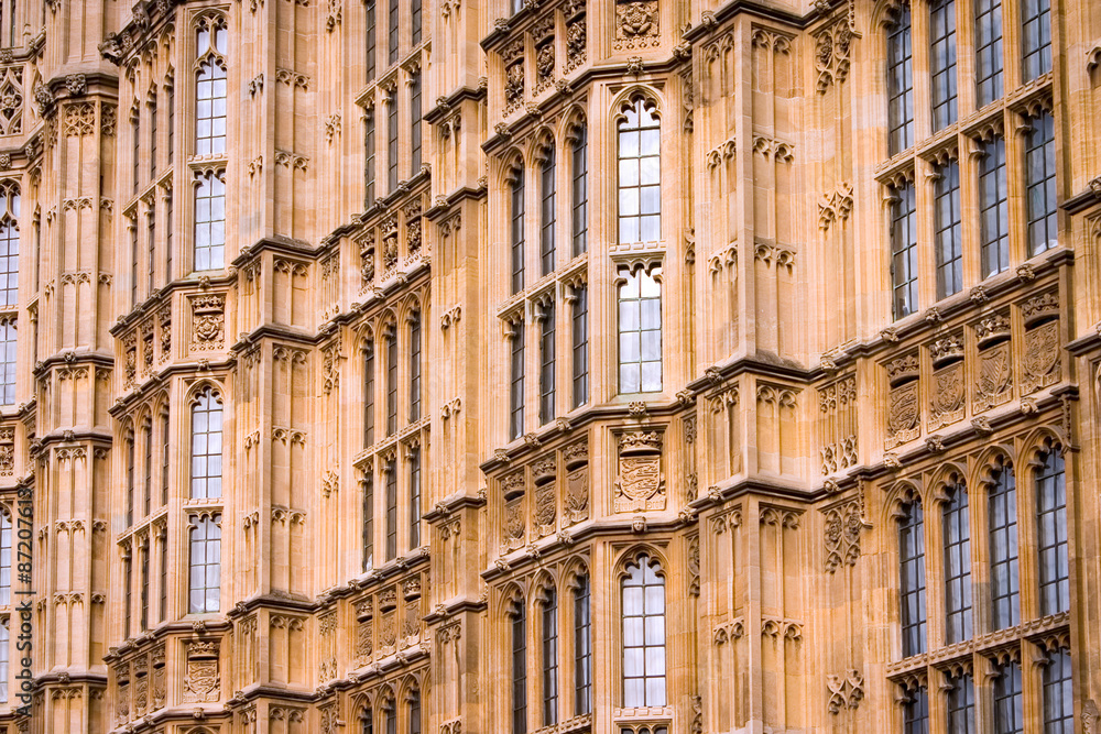 Houses of Parliament, London. Close, full-frame detail of the walls of ...