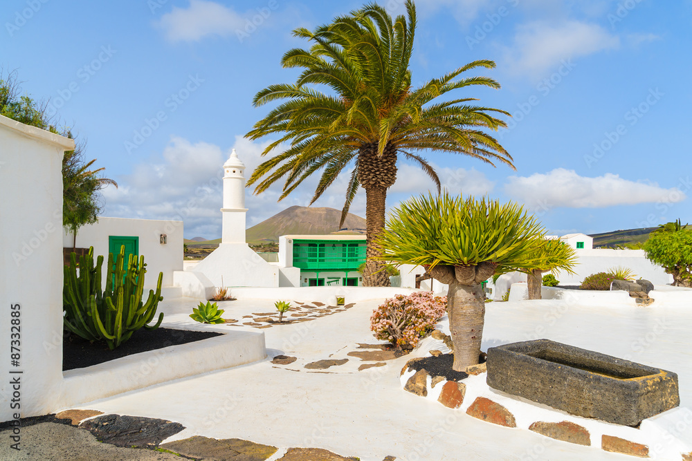 Typical Canarian style buildings and tropical plants, El Campesino ...