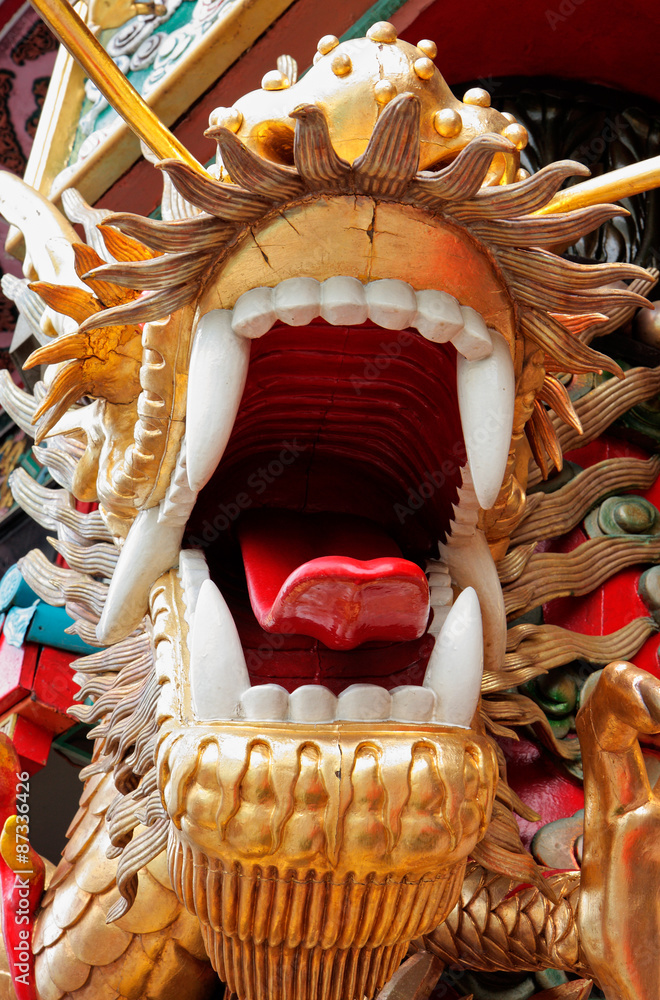 Chinese Dragon Roar
