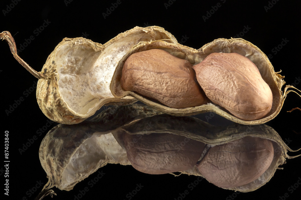 Peanuts in the shell on top of a black reflective surface close up ...