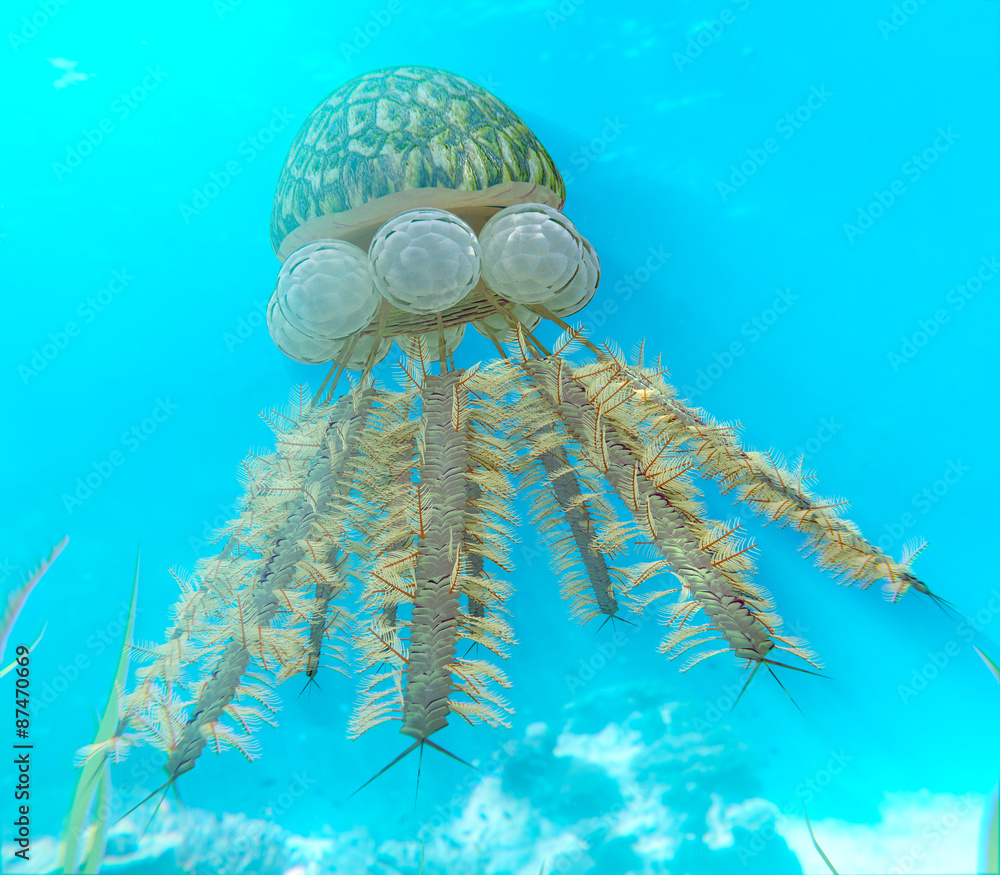 Ordovician Graptolites