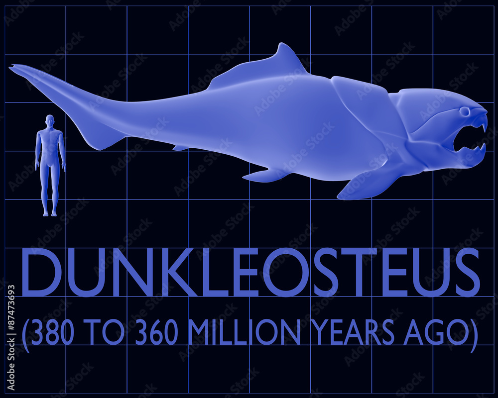 Dunkleosteus and Human Size Comparison Stock Illustration | Adobe Stock
