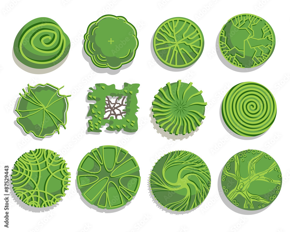 Trees and bush item top view for landscape design, vector icon. Stock ...
