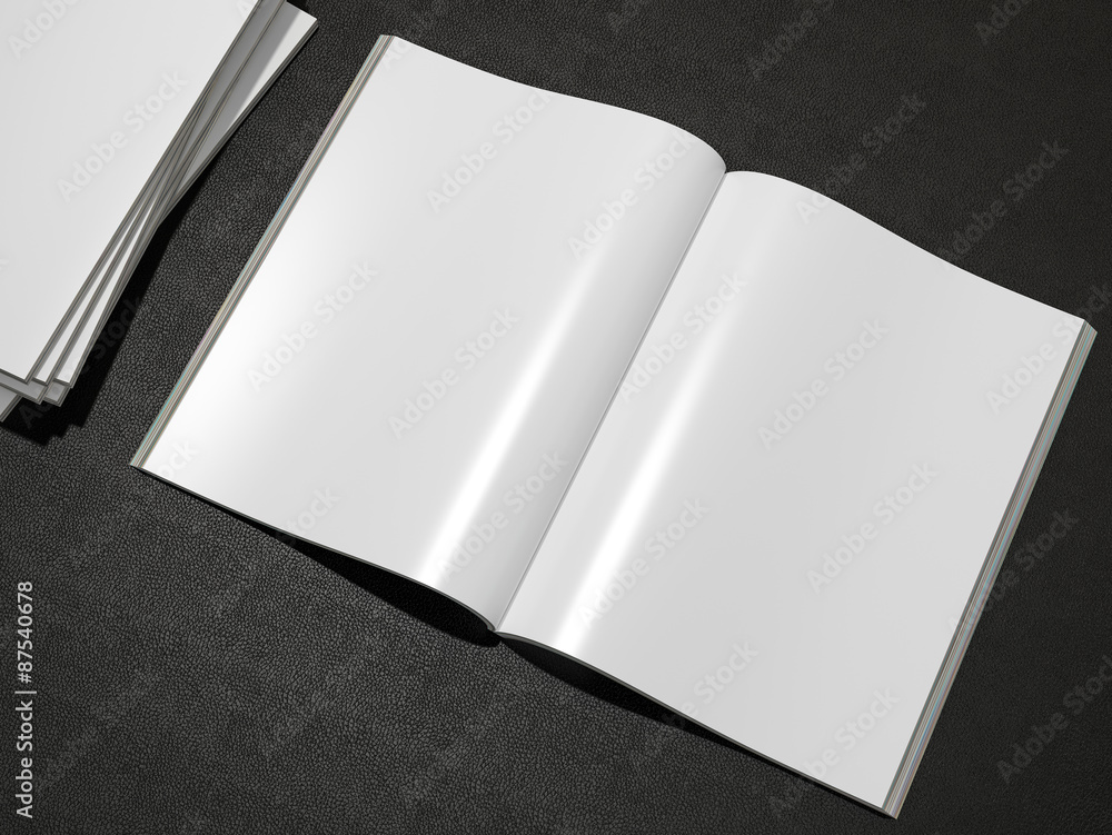 Open magazine double-page spread with blank pages Stock Illustration ...