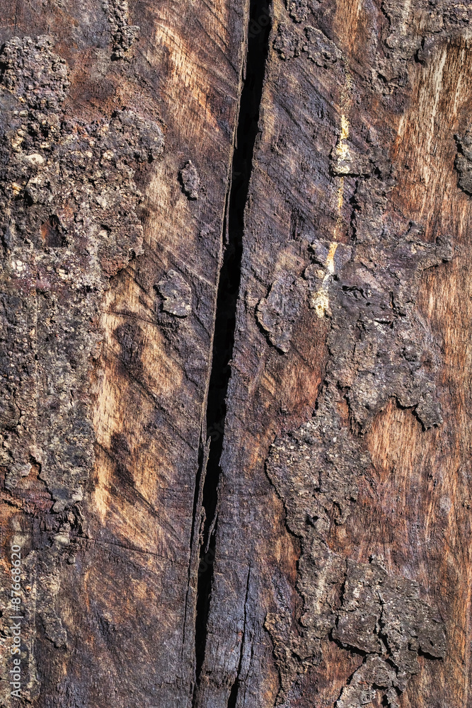 Old Rotten Scorched Cracked Square Timber Bollard Bituminous Surface ...