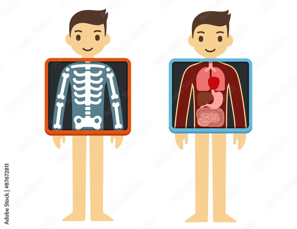 Two illustrations of cute cartoon adult man with x-ray screen showing ...